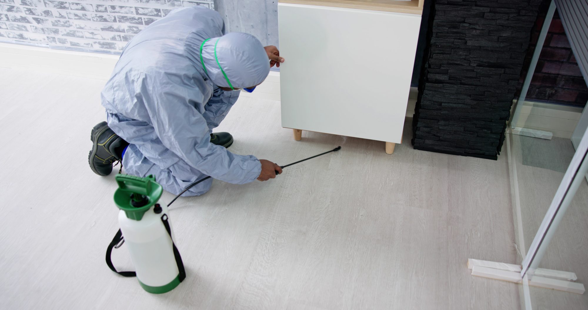 Catchem Pest Control | Solutions for Your Home or Business